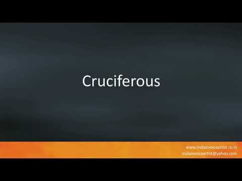 Pronunciation of the word(s) "Cruciferous".