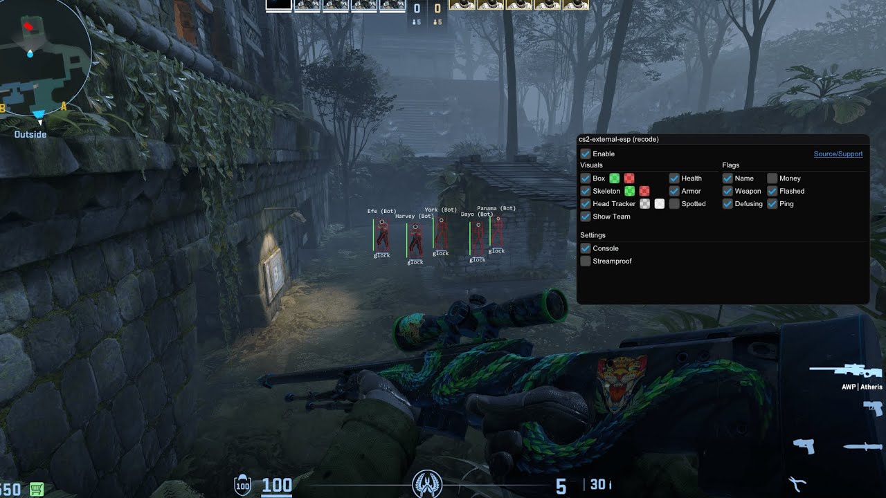 CS2 External ESP | Recode Showcase