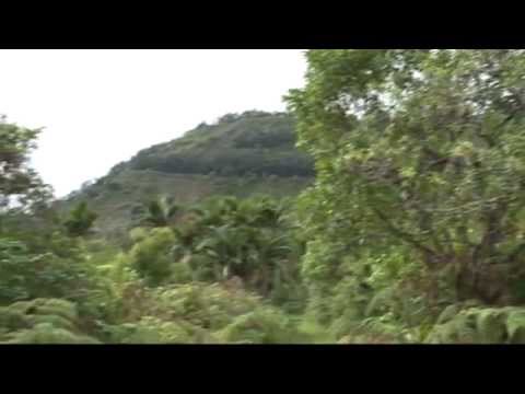 Evidence of Māori settlement on the Kermadec Islands