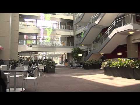 WW Microsoft Services Premier Support Leadership Team