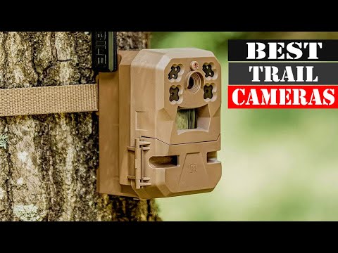 The 5 Best Trail Cameras 2025