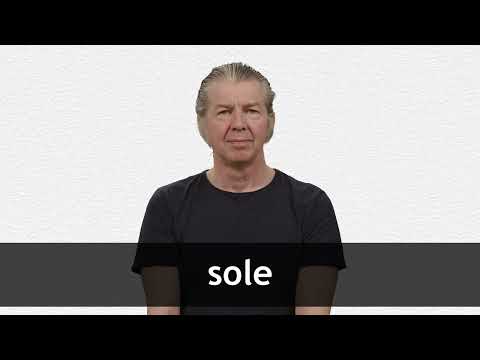 SOLE - Definition & Translations | Collins English Dictionary