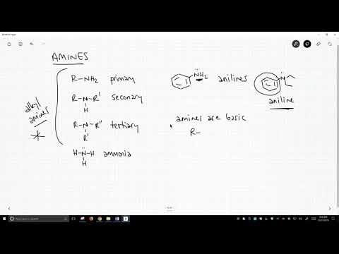 introduction to amines