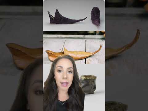 The Poulaine Mens Shoe | Medieval Fashion