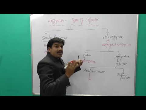 Enzymes- Types of cofactors