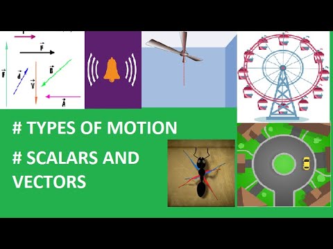 Motion || Types of Motion || Scalars and vectors || PPT