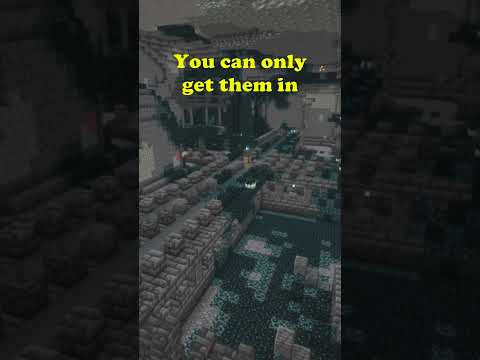 How to Get Minecraft Silence Armor Trim?