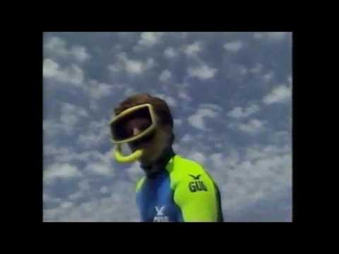 Art Attack - Series 3, Episode 5 (1992) Clip 240: Big Art Attack of Shark