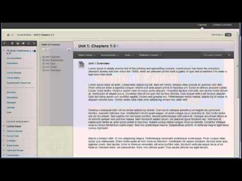 Blackboard Learn 9.1 Course Interface and Tool Overview