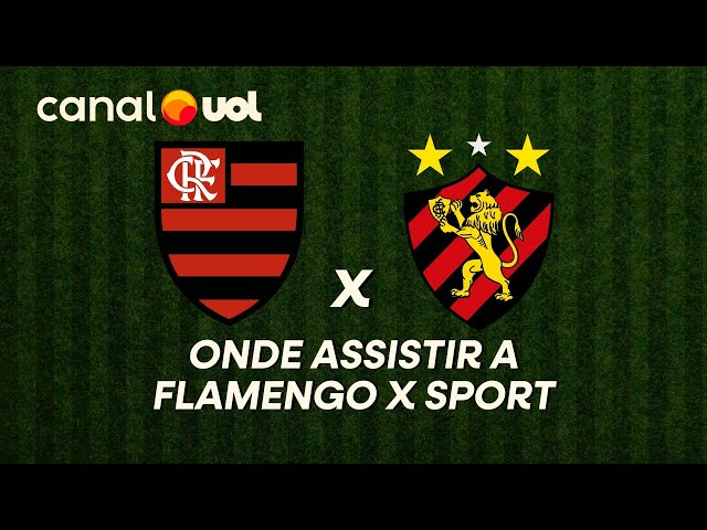 Onde vai passar Flamengo x Sport pelo Brasileirão? Como assistir ao vivo