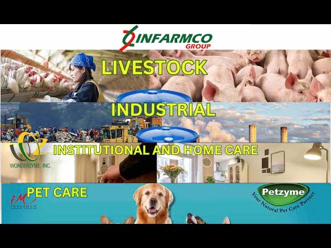 Case Study for my PhD: The Infarmco Group