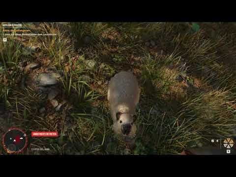 Steam Community :: Video :: Far Cry Koalas