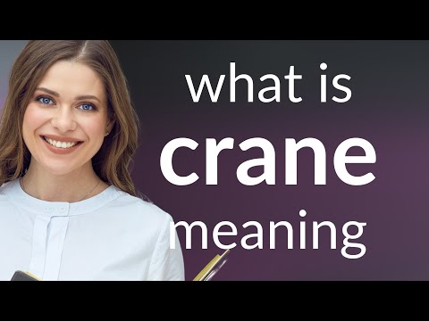Crane • CRANE definition
