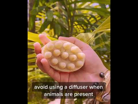 Dangers of Essential Oils For Pets