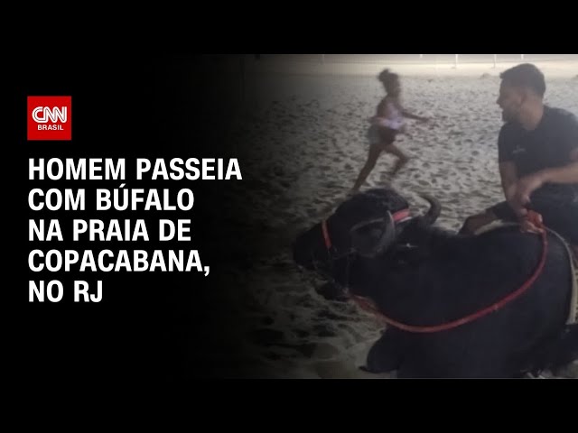 Vídeos: homem é flagrado passeando com búfalo na praia de Copacabana ...