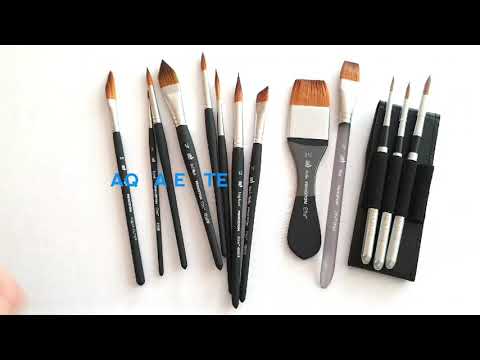 Princeton Brush: Best Series