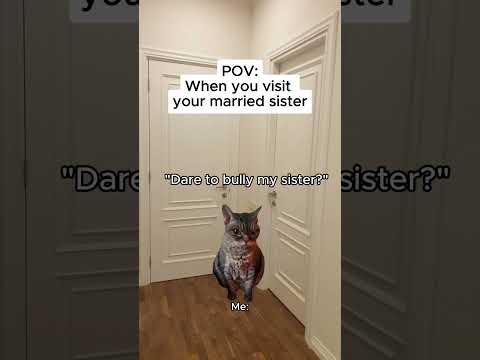 CAT MEMES 🐱 When you visit your married sister #shorts #catmemes #relatable