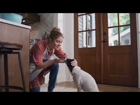 Cash Advance - Life Won't Wait (English)