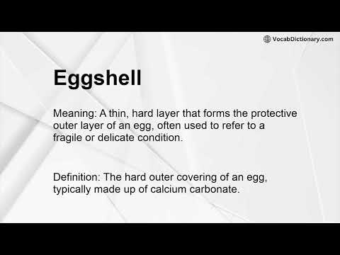 Eggshell Meaning