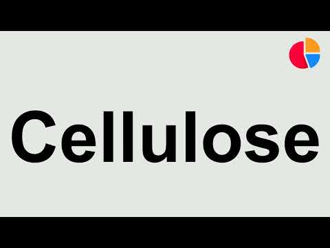 How to Pronounce: "Cellulose"
