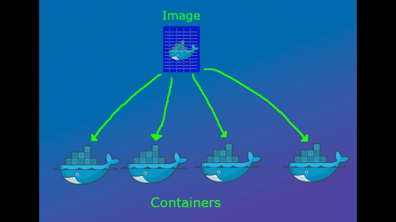 Software Of America: Docker Container with Python Script