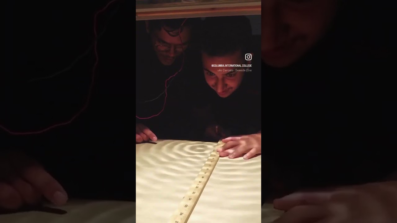 Grade 12 Physics students observing interference patterns of water waves in the ripple tank