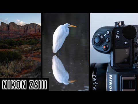 Nikon Z6 III: Really good camera (with sample photos)