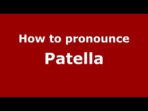 How to pronounce Patella (Italian/Italy) - PronounceNames.com