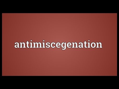 Antimiscegenation Meaning