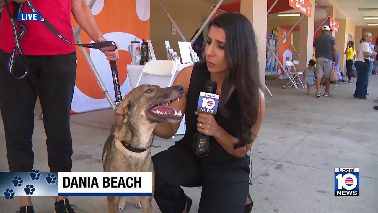 Pet adoption event held in Dania Beach