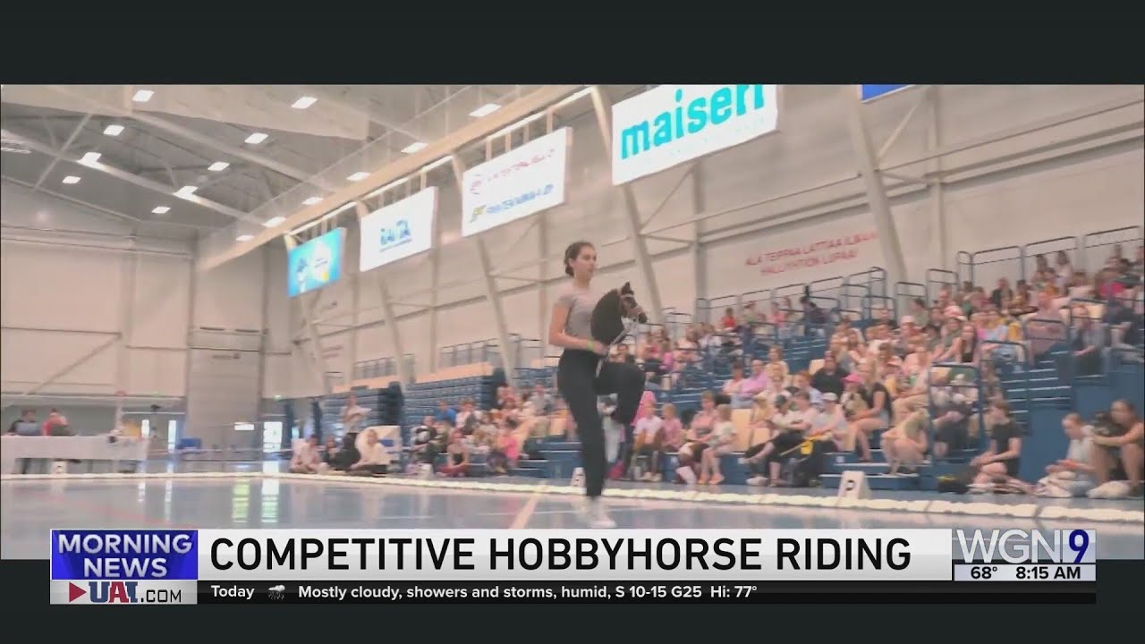 Competitive Hobbyhorse Riding