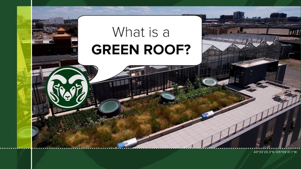 Conversation Starters: What is a Green Roof and What are the Benefits of Having a Green Roof?