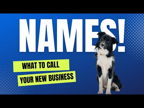 How to choose a name for your dog walking business (Pro dog walking)