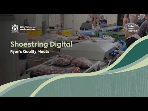 Shoestring Digital – Ryan’s Quality Meats case study