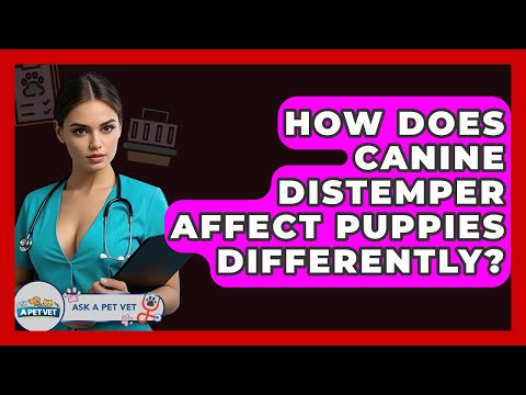 How Does Canine Distemper Affect Puppies Differently? - Ask A Pet Vet