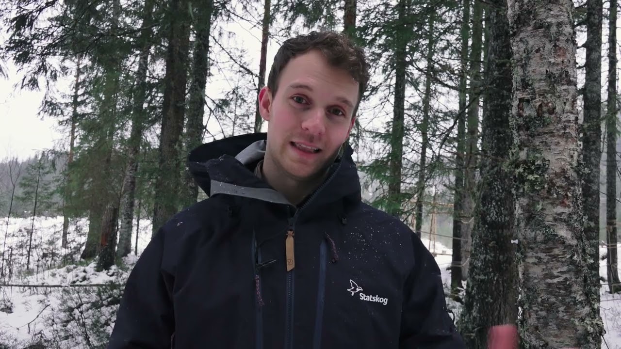 Statskog - Min Framtid
