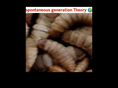Spontaneous generation theory 🌍.#generationtheory|#sciencetheory|#short.