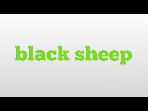 black sheep meaning and pronunciation