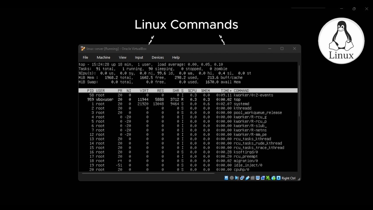 Linux Command Line Basics(episode2)