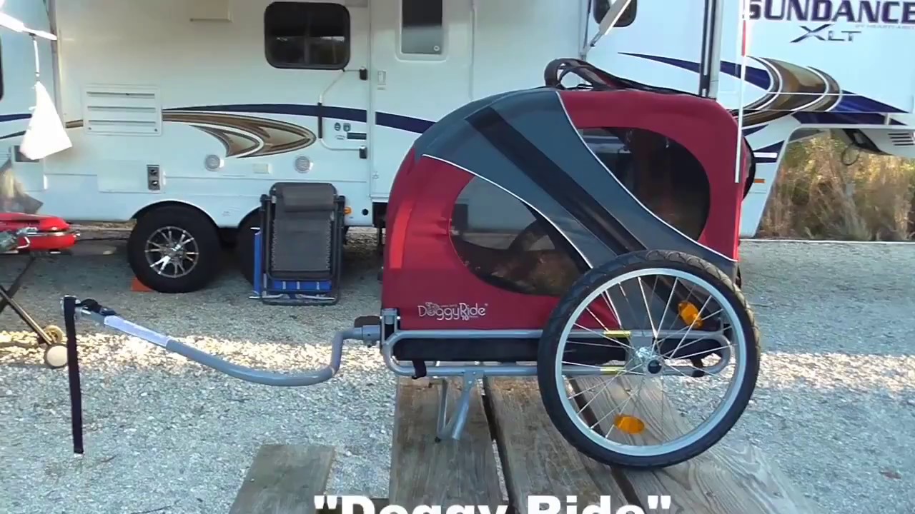 DoggyRide Set Up