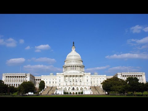 8chan's owner testifies before House panel