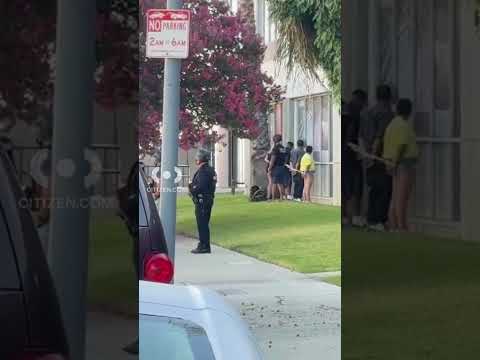 Raid Detains Over 20 at MIR Printing & Graphics in Los Angeles | Citizen