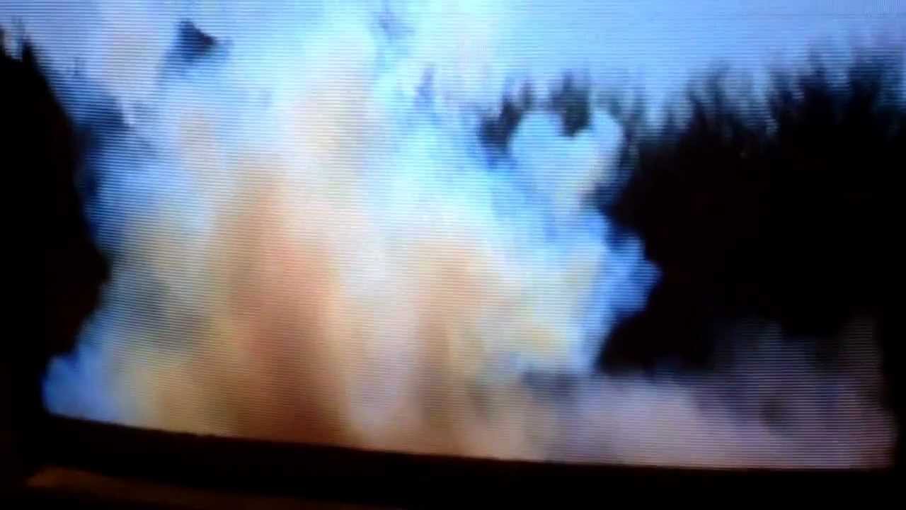 Hogs being blown up with tanerite