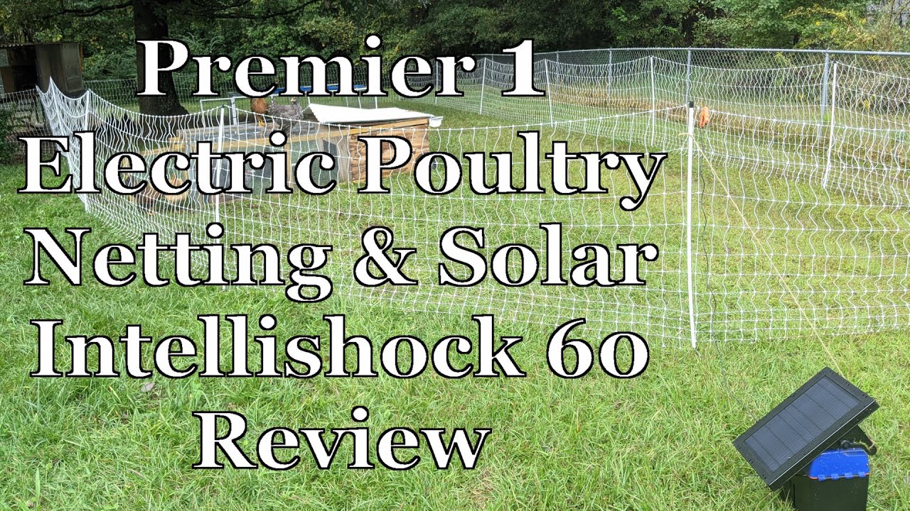 Premier 1 Electric Poultry Netting & Solar Intellishock 60 Energizer Review