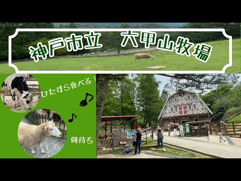 Reseñas, acceso y horarios de apertura de la granja Rokkosan de la ...