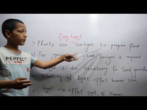 Importance of Sunlight