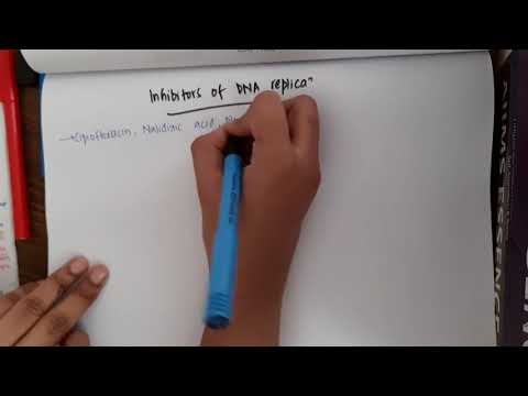 Inhibitors of DNA replication || Biochemistry