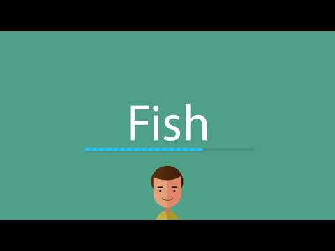 How to pronounce Fish