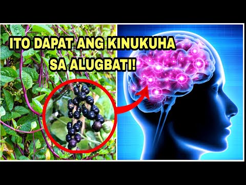 Ganito Pala Katindi ang Epekto ng ALUGBATI sa Ating Katawan! Malabar Spinach Benefits!