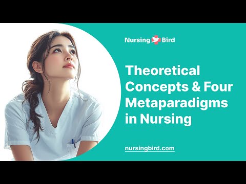 Theoretical Concepts and Four Metaparadigms in Nursing - Essay Example